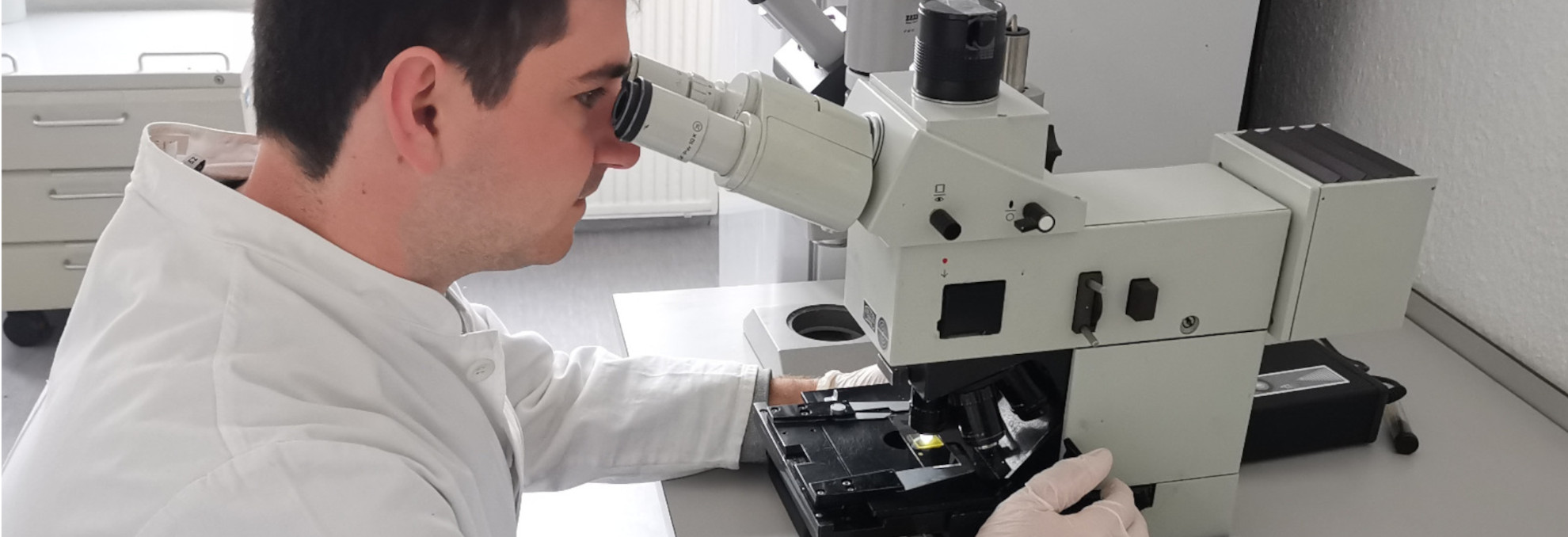 Ratgeber - Tierpathologische Informationen